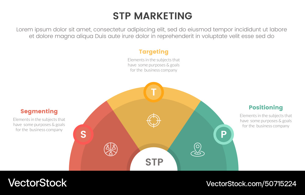 Stp marketing strategy model for segmentation Vector Image
