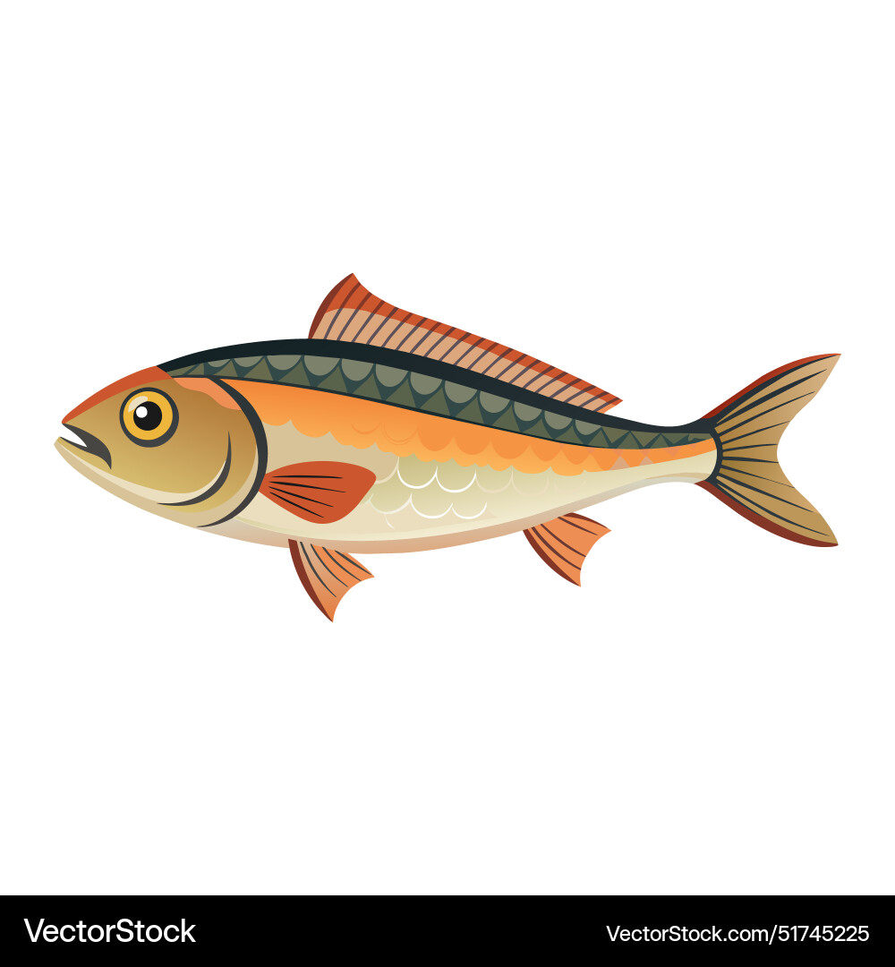 Dry fish isolated flat on white background Vector Image
