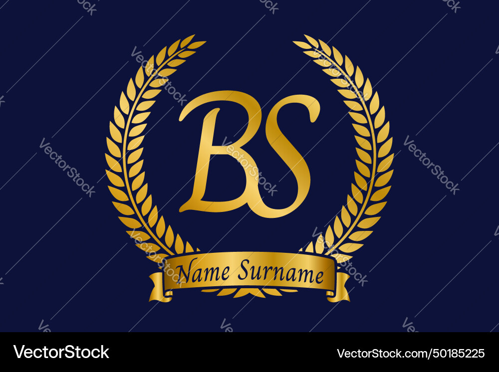 Initial letter b and s bs monogram logo design Vector Image