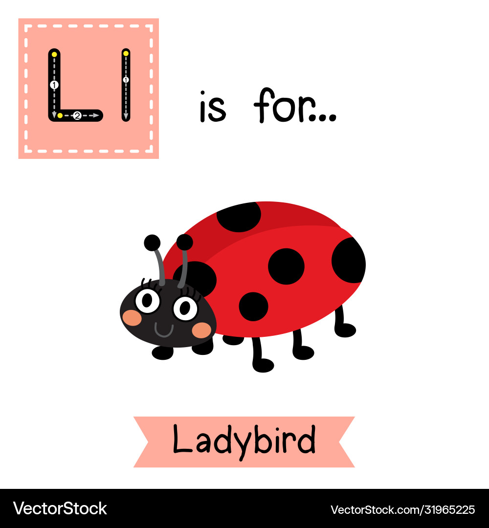 Letter l tracing ladybird Royalty Free Vector Image