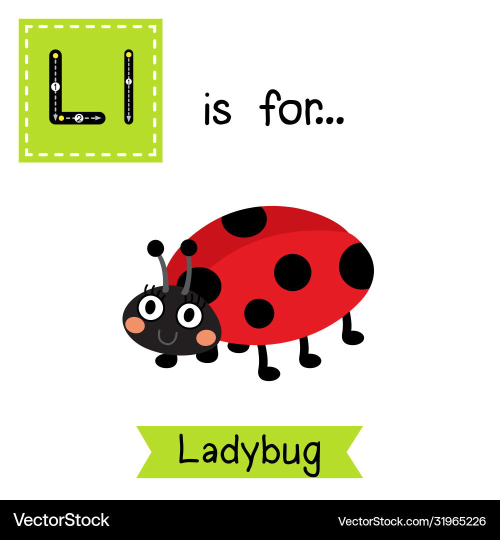 Letter l tracing ladybug Royalty Free Vector Image