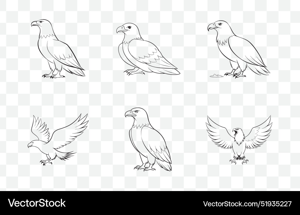 Collection of detailed eagle line art Royalty Free Vector