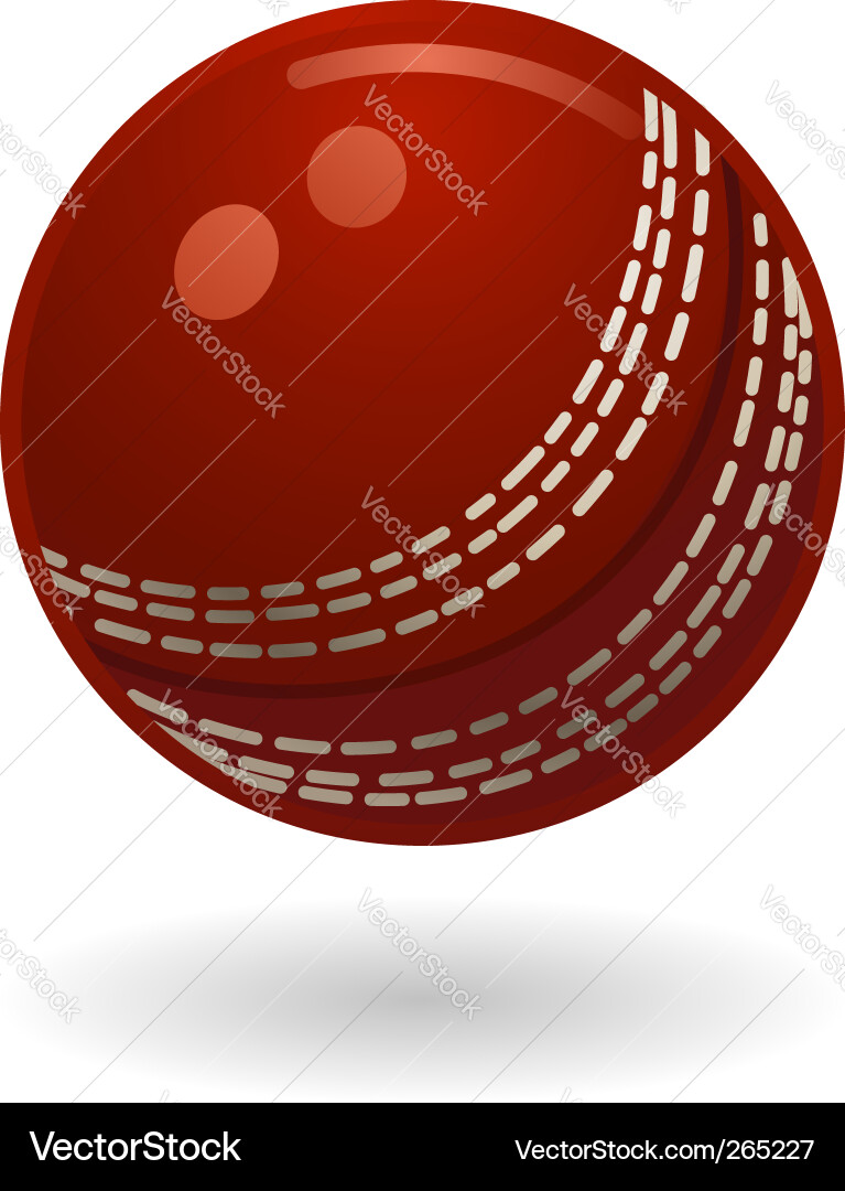 Cricket ball Royalty Free Vector Image - VectorStock