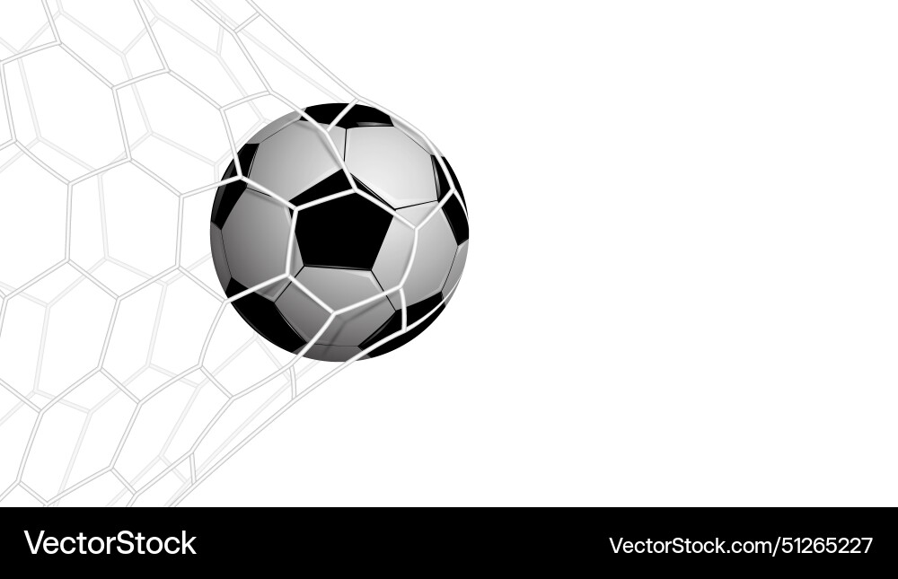 Realistic football in net isolated on white Vector Image