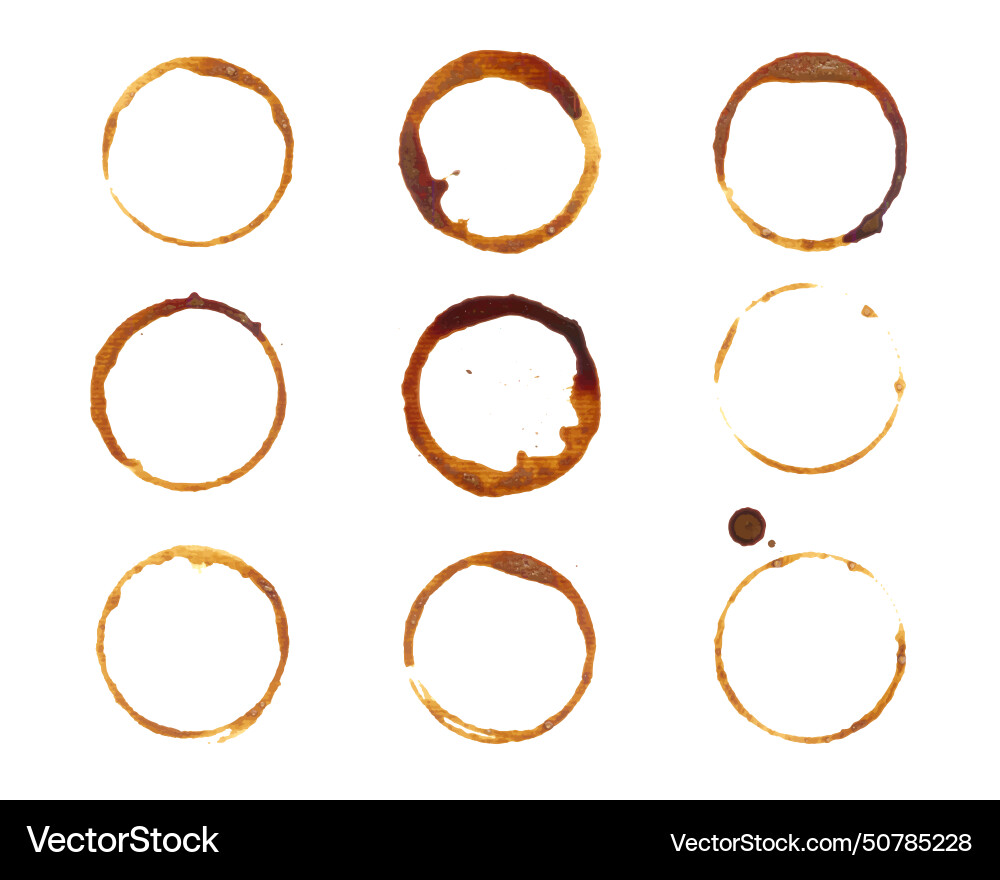 Coffee cup stains set or tea Royalty Free Vector Image