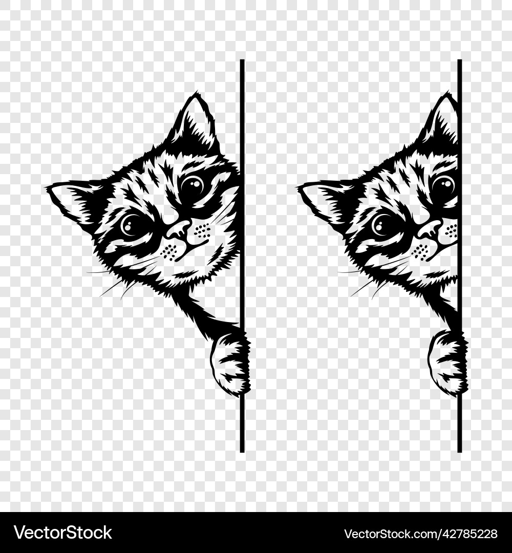 Monochrome hand drawm black white hiding Vector Image