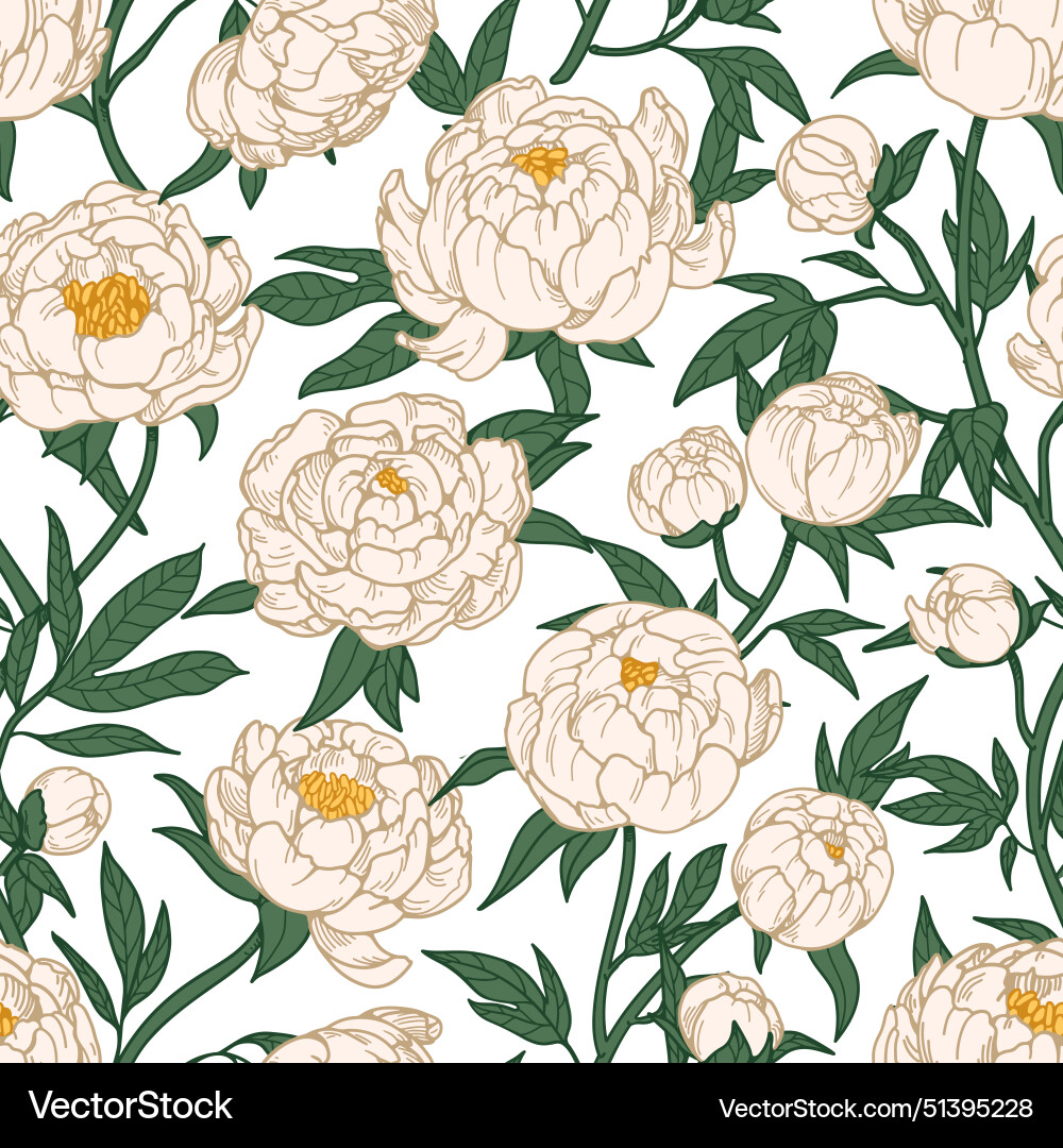 Peony flower pattern seamless floral print Vector Image