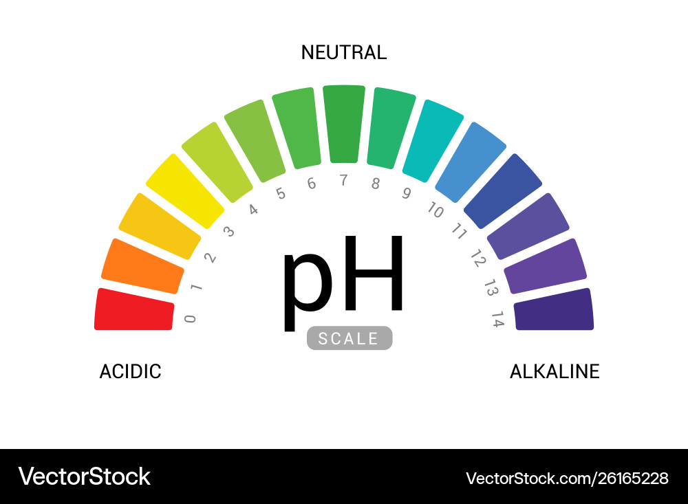 Ph scale indicator chart diagram acidic alkaline Vector Image