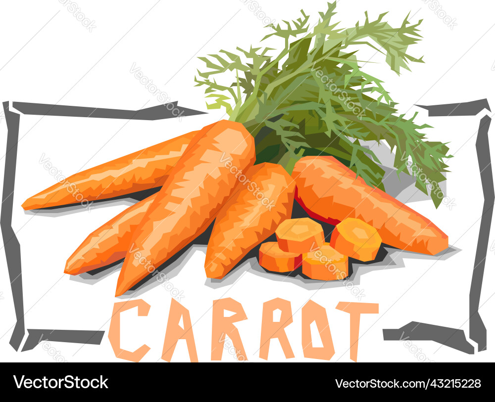 Simple of carrots Royalty Free Vector Image - VectorStock