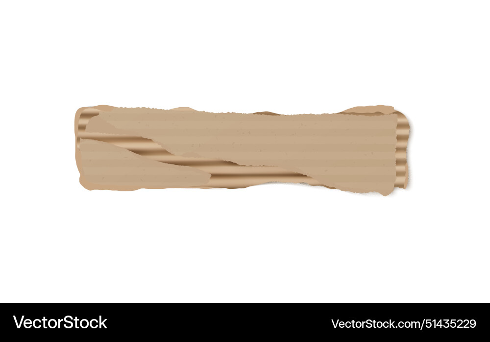 Brown torn cardboard Royalty Free Vector Image