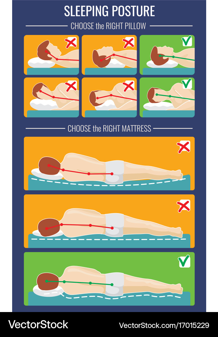 Correct body position during sleep ergonomic Vector Image