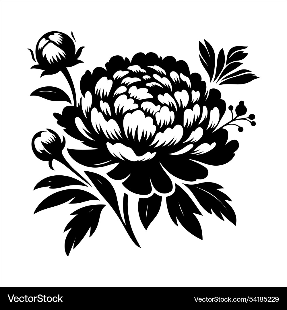 Peony flower eps file Royalty Free Vector Image