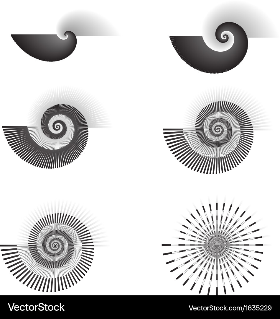 Shell swirl Royalty Free Vector Image - VectorStock
