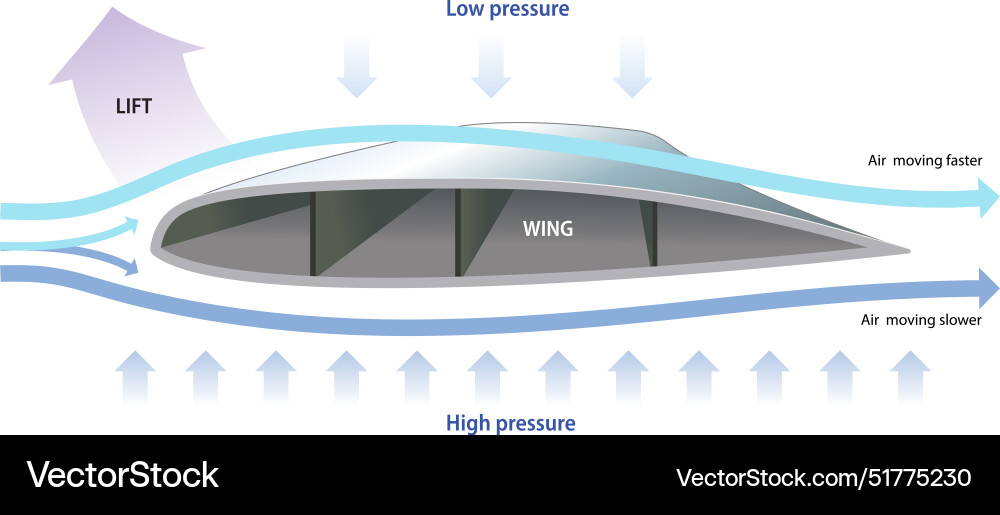 Aircraft wing aerodynamics diagram Royalty Free Vector Image