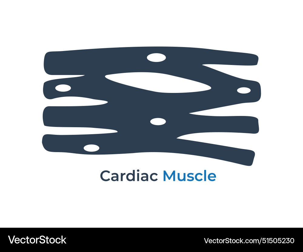 Cardiac muscle tissue icon Royalty Free Vector Image