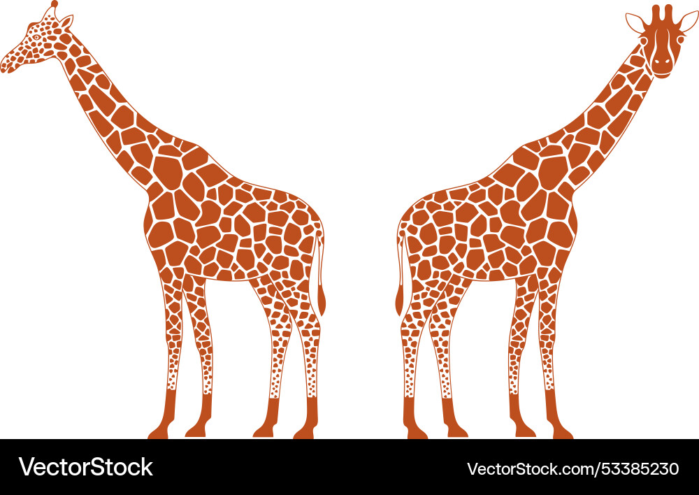 Giraffe Royalty Free Vector Image - VectorStock