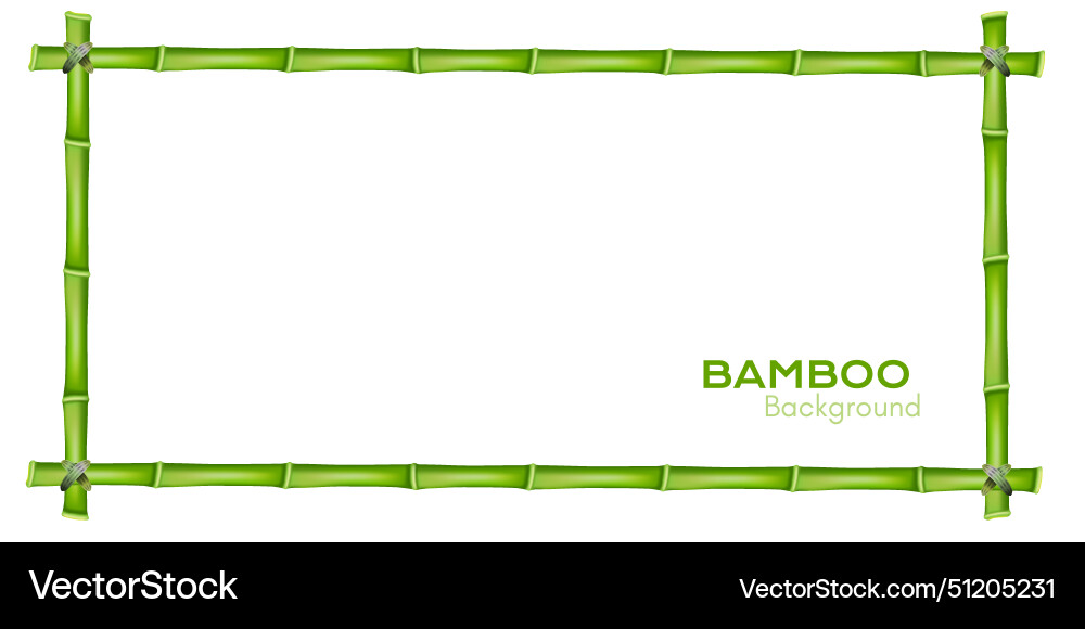 Bamboo decoration frame nature background Vector Image