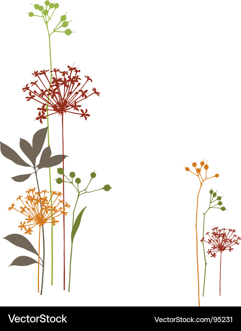Rustic Autumn Wildflowers Royalty Free Vector Image
