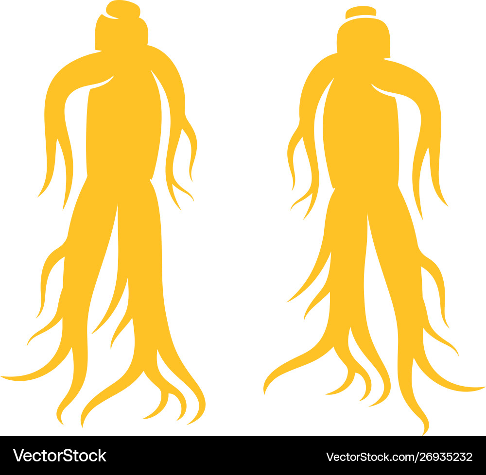 Ginseng Royalty Free Vector Image - VectorStock
