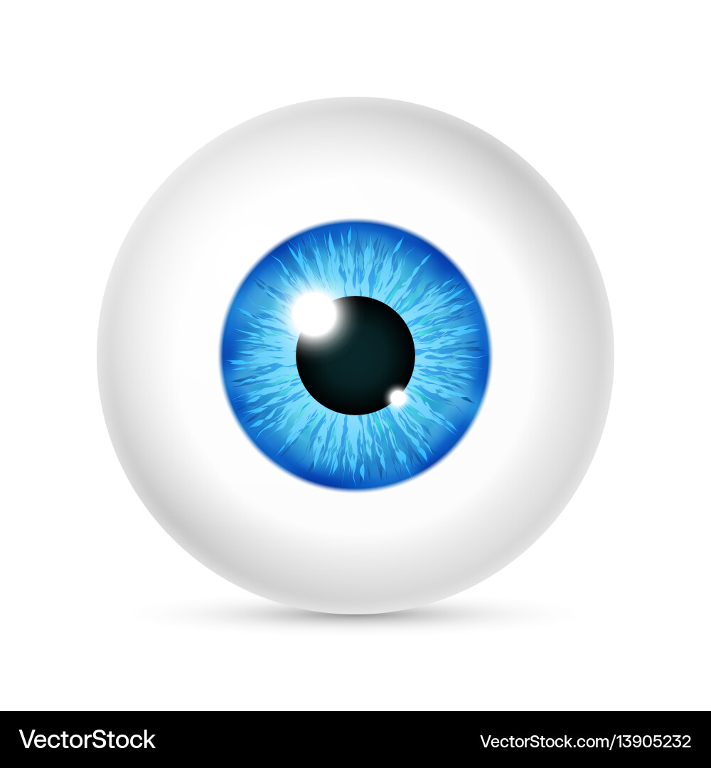 Realistic human eyeball Royalty Free Vector Image