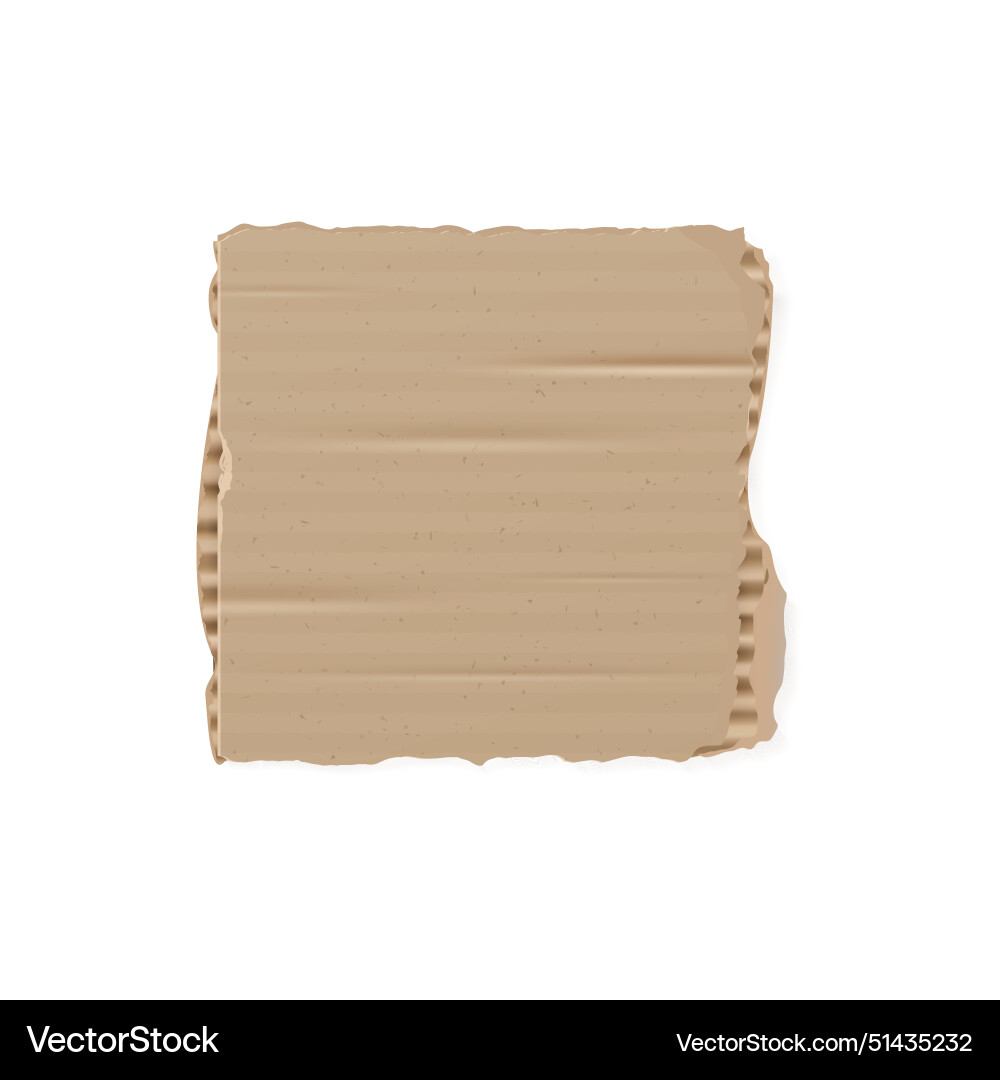 Realistic piece of torn cardboard ripped Vector Image