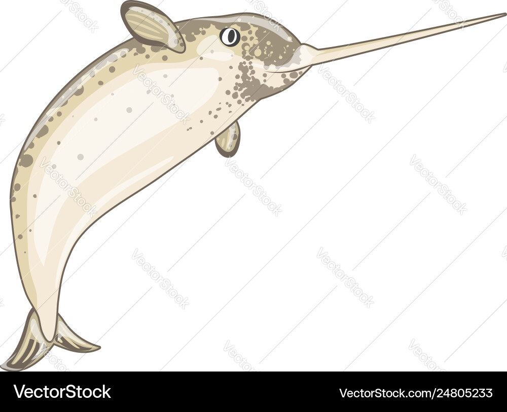 Narval whale icon cartoon style Royalty Free Vector Image