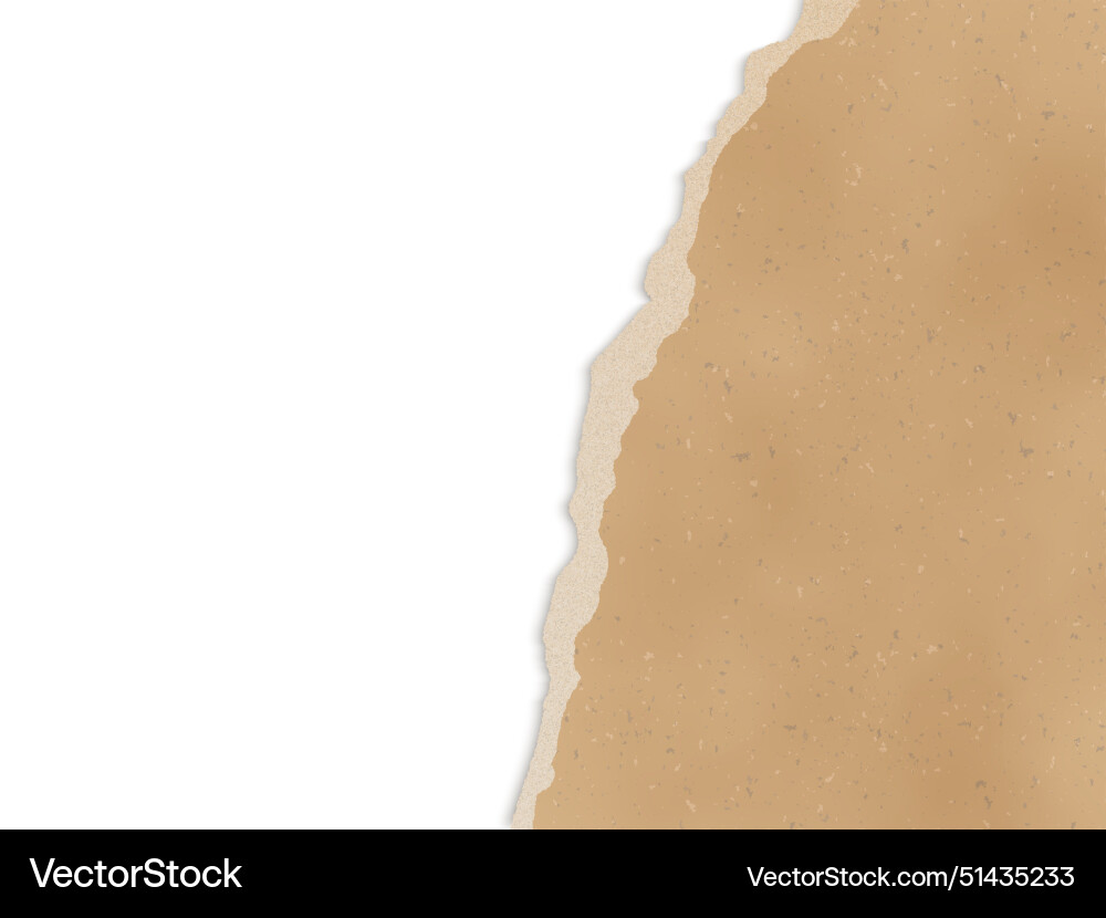 Torn cardboard texture Royalty Free Vector Image