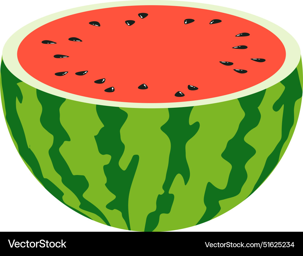 Fresh half of watermelon isolated Royalty Free Vector Image