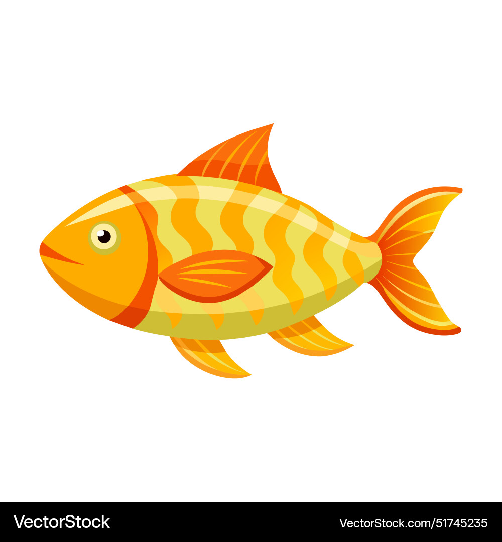 Mango fish isolated flat on white background Vector Image