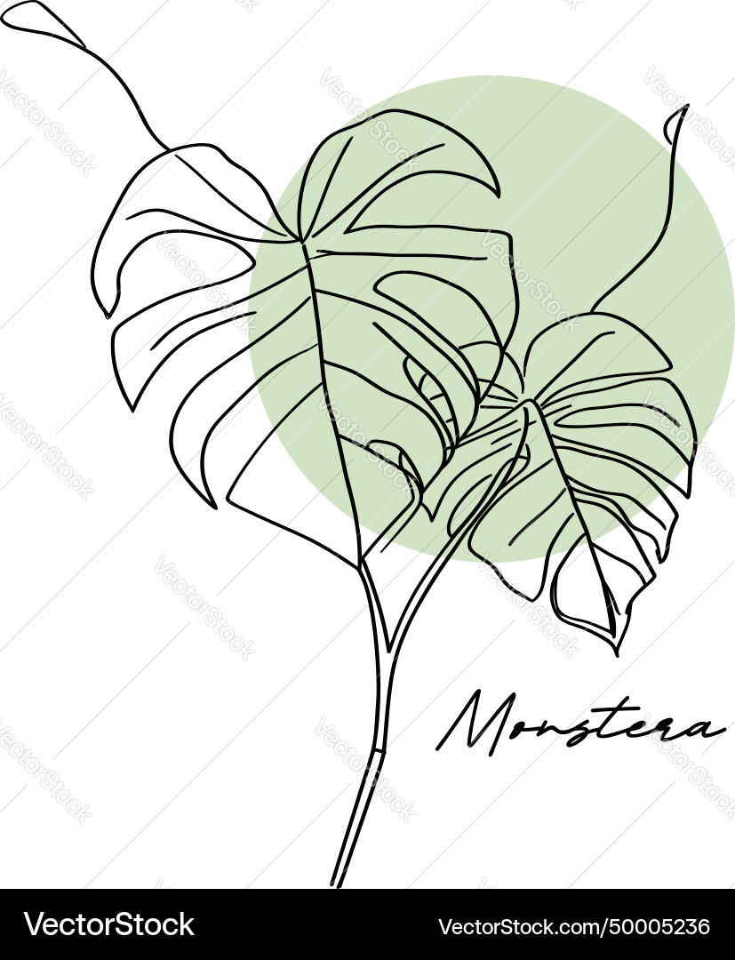 Monstera Continuous Line Art Royalty Free Vector Image