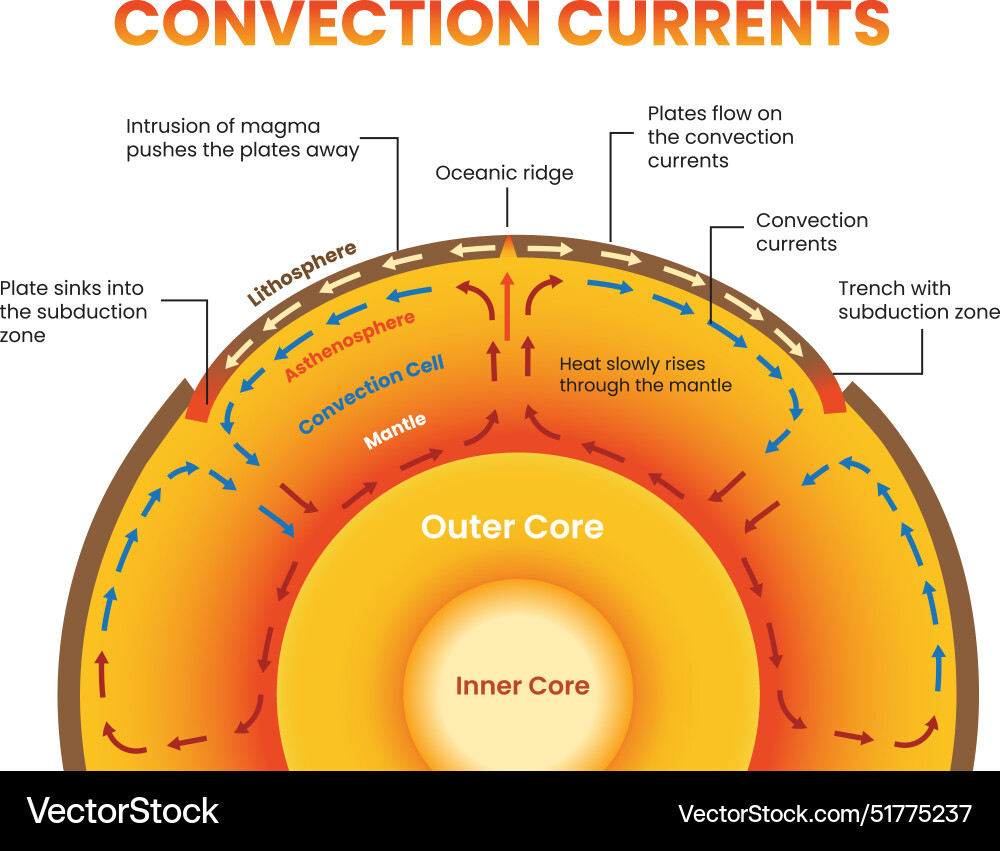 Con currents diagram Royalty Free Vector Image