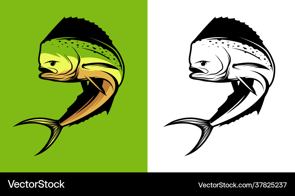 Mahi fish Royalty Free Vector Image - VectorStock