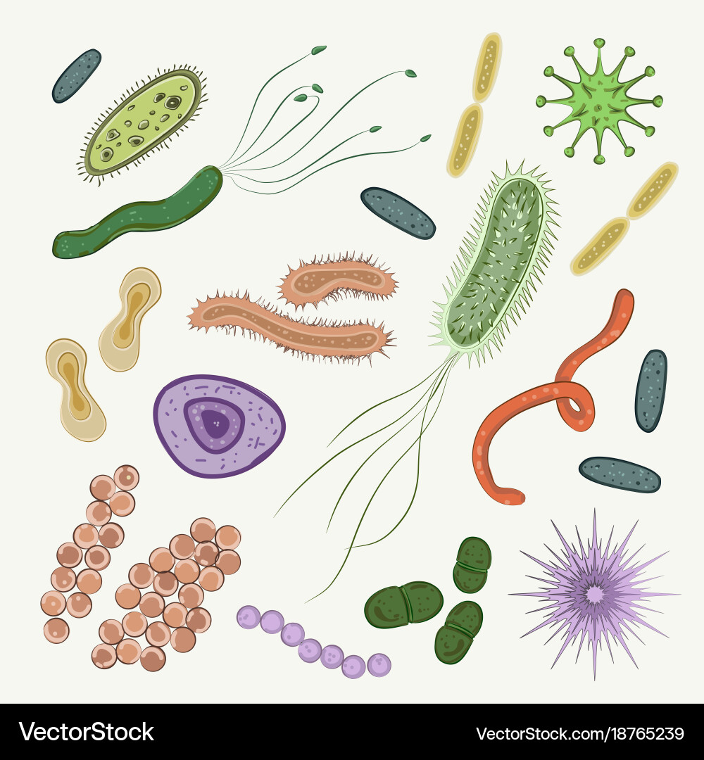 Bacteria virus germs icon set Royalty Free Vector Image