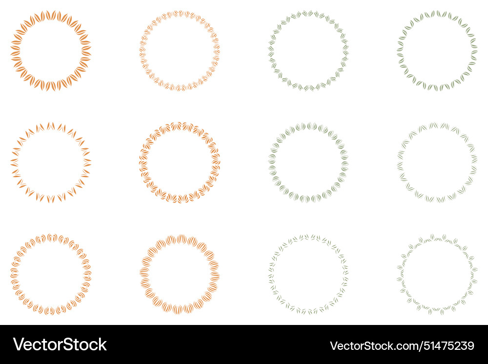 Decorative botanical frame set design Royalty Free Vector