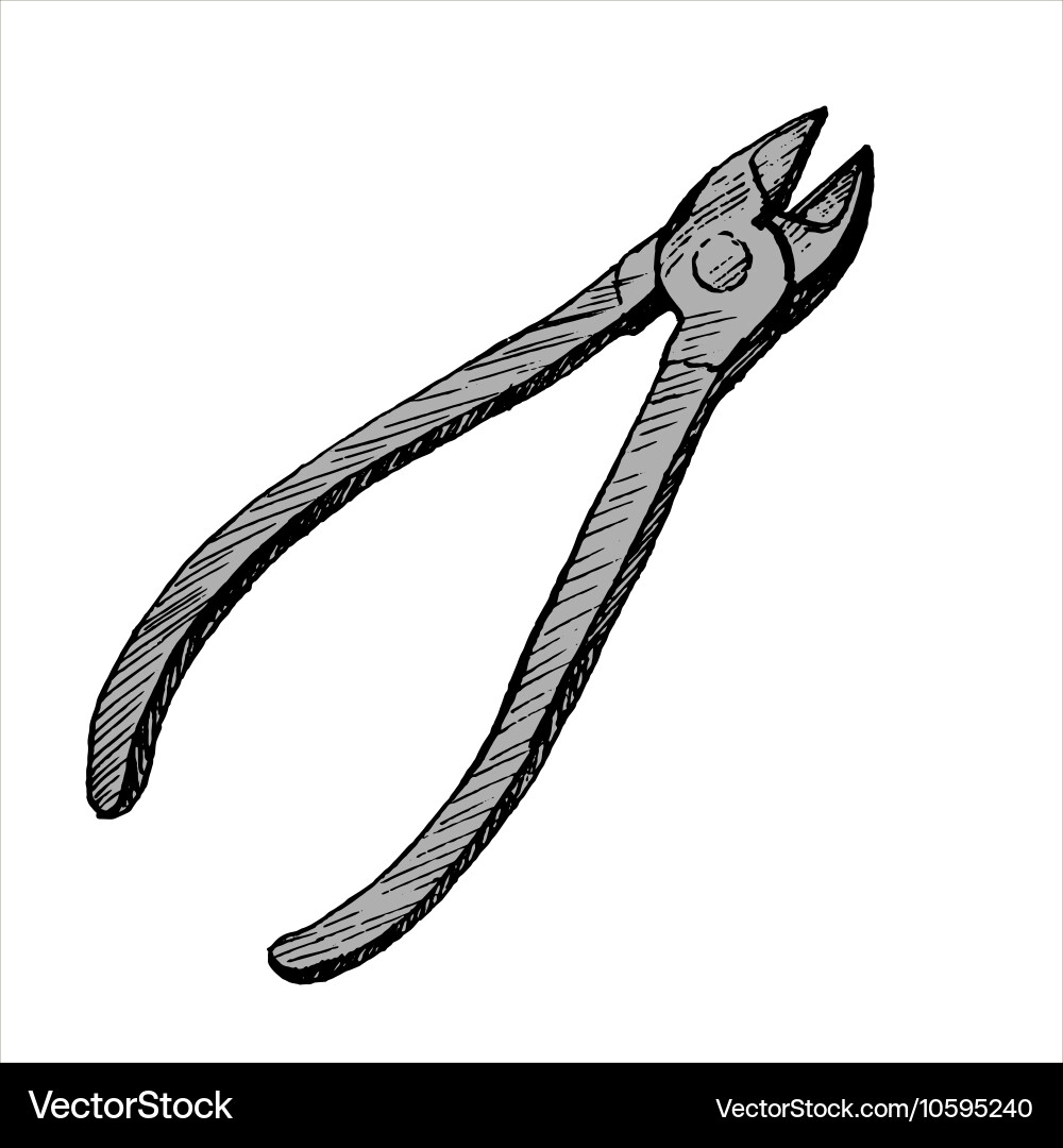Hand drawn nippers Royalty Free Vector Image - VectorStock