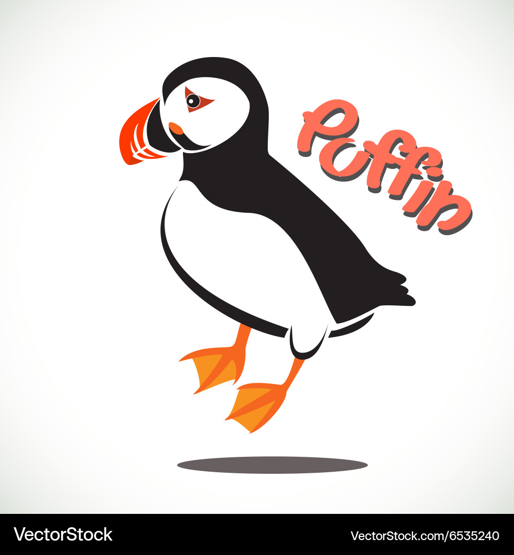 Puffin bird Royalty Free Vector Image - VectorStock