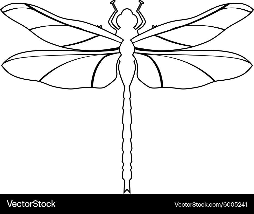 Dragonfly Royalty Free Vector Image - VectorStock