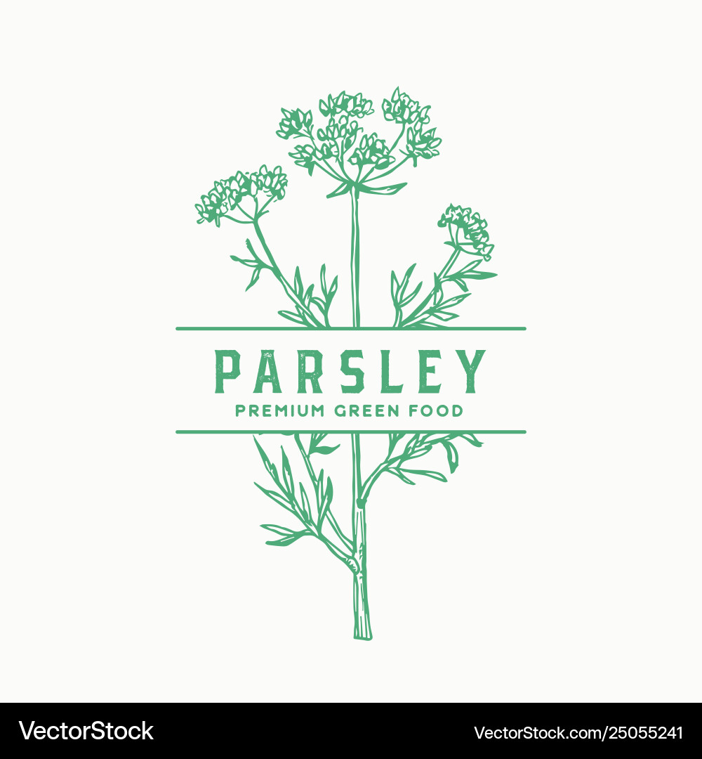 Parsley-Stammzeichen-Symbol oder Etikettenvorlage Vektorbild