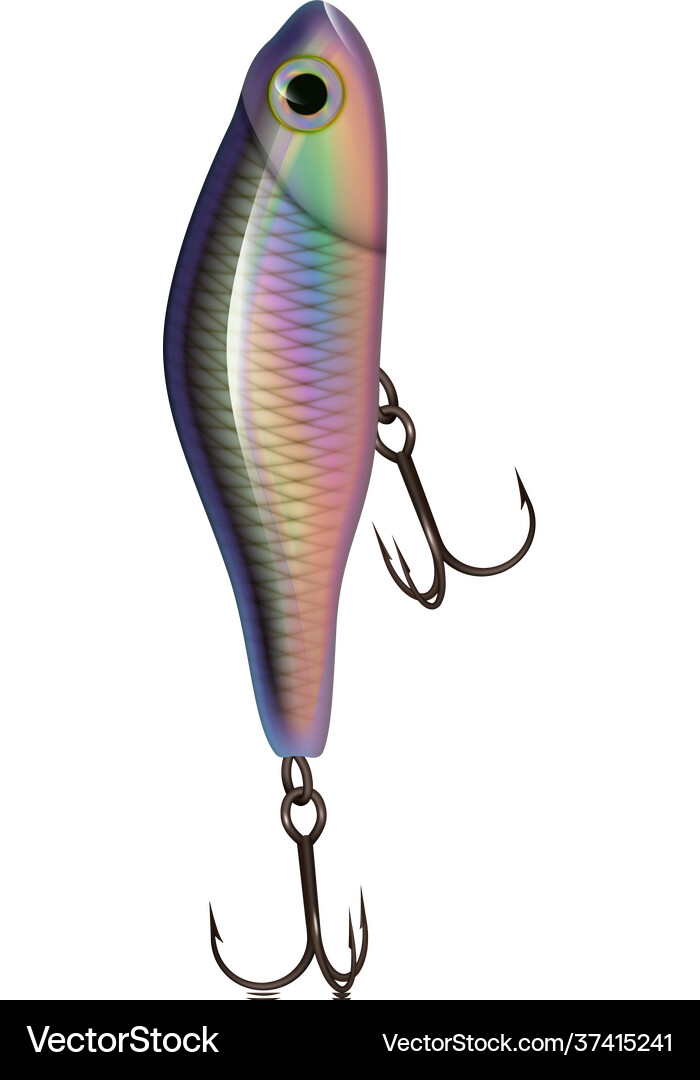 Realistic Fish Lure with Hooks Royalty Free Vector Image