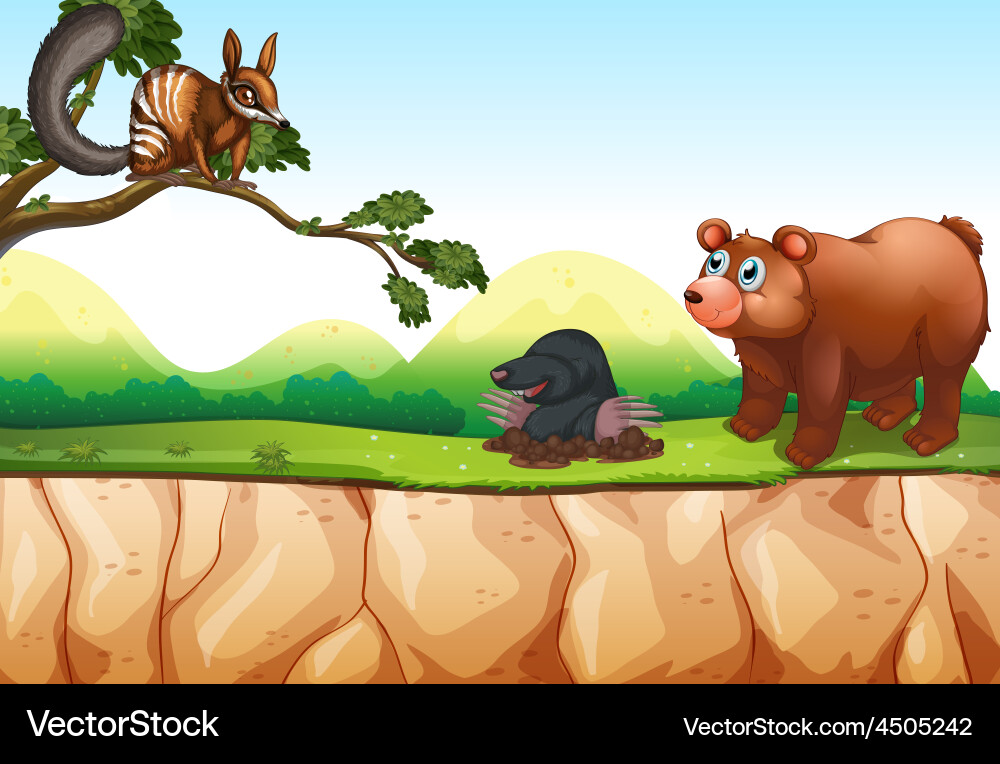 Animals and cliff Royalty Free Vector Image - VectorStock