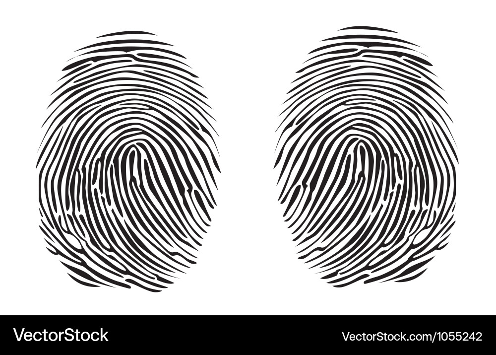 Fingerprints Royalty Free Vector Image - VectorStock