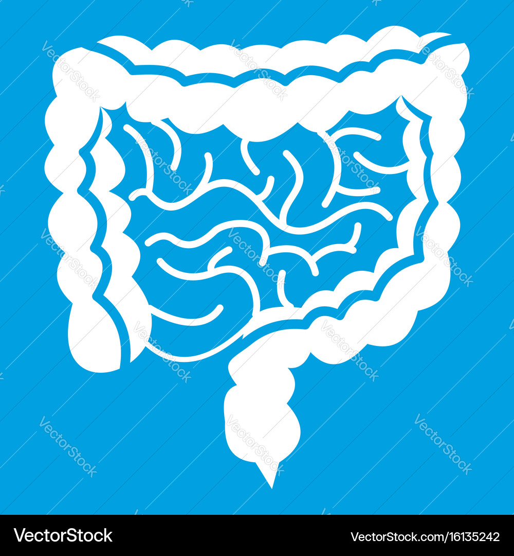 Isolated White Intestines Icon Royalty Free Vector Image