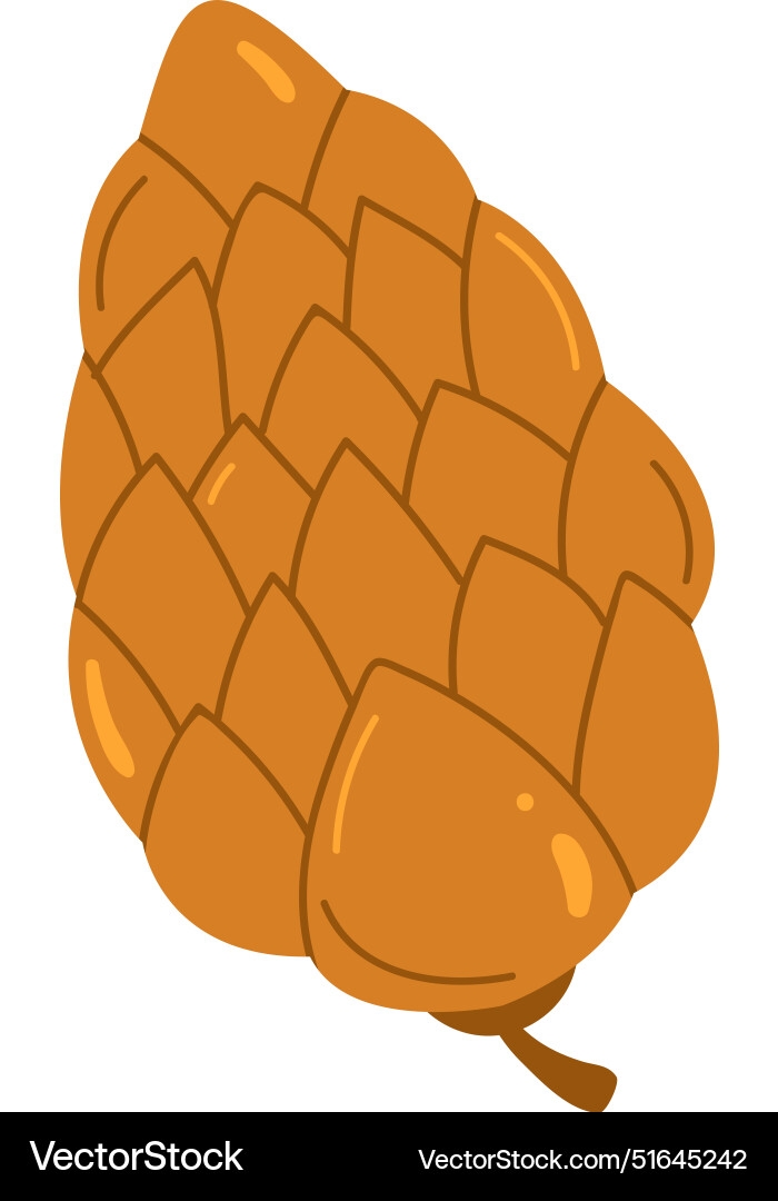 Large brown pine cone linear segmented structure Vector Image