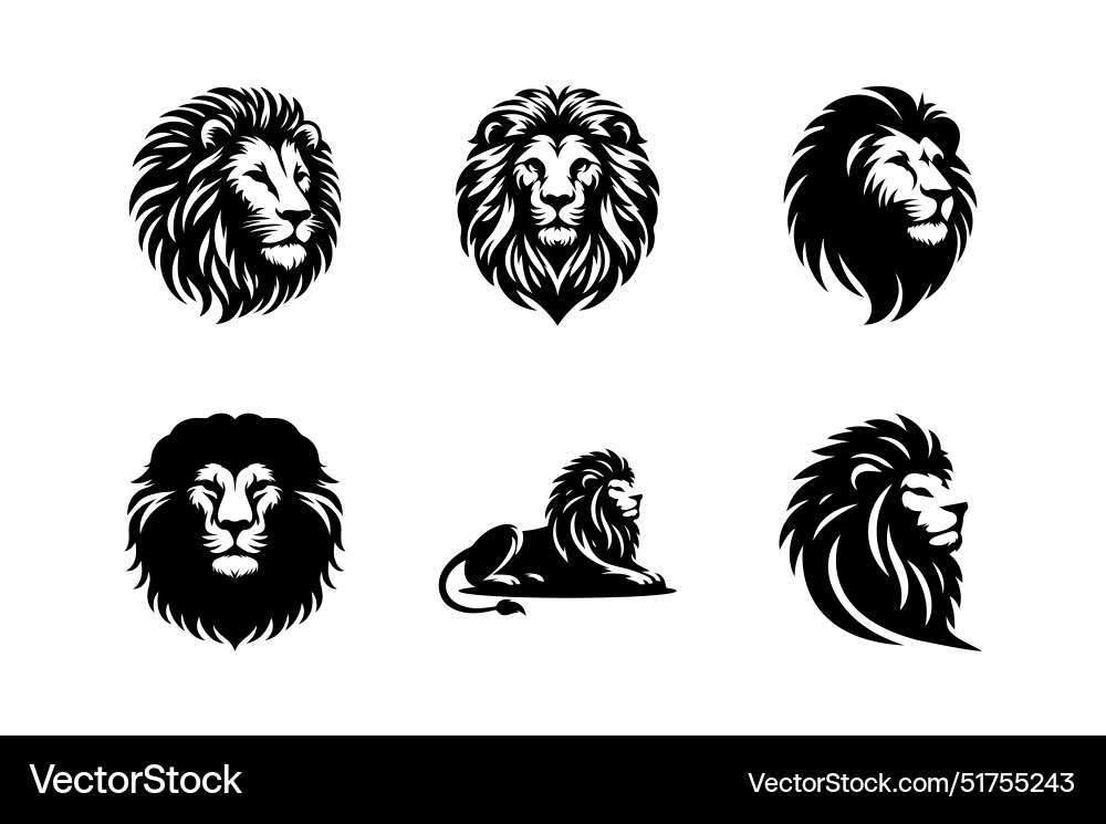 Black lion Royalty Free Vector Image - VectorStock