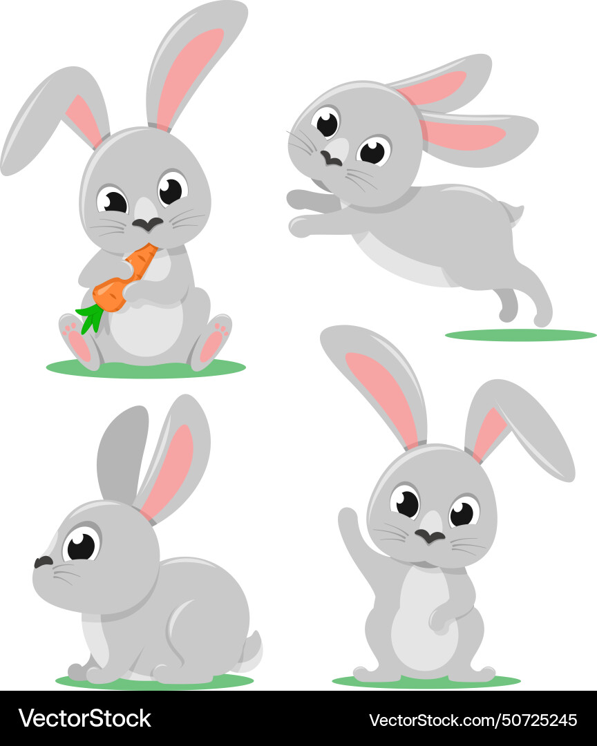 Set of rabbits close-up on a white background Vector Image
