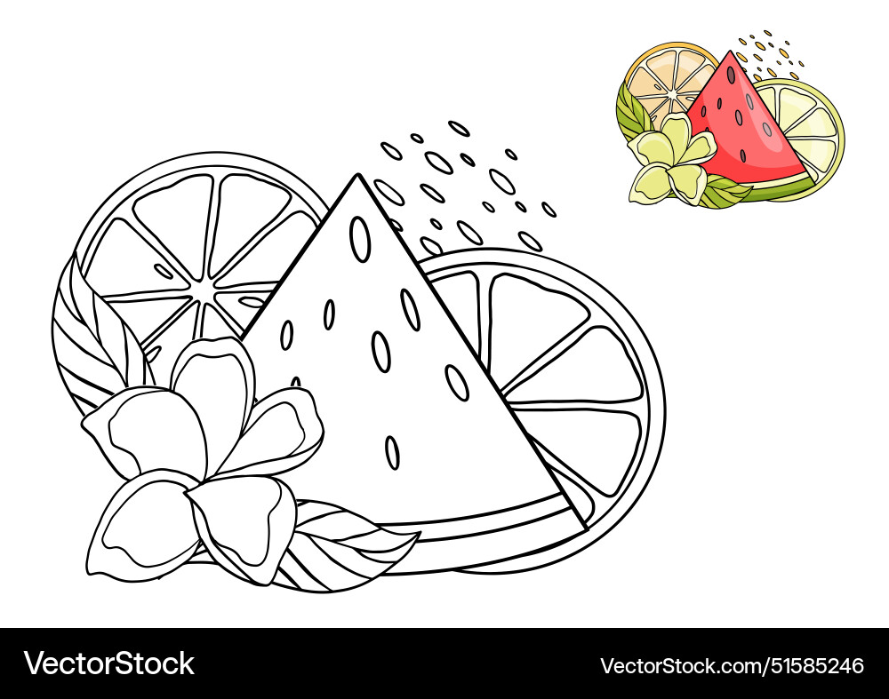 Summer tropical coloring book with watermelon Vector Image