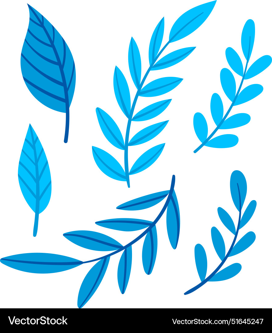 Elegant vibrant blue leaves foliage decorative Vector Image