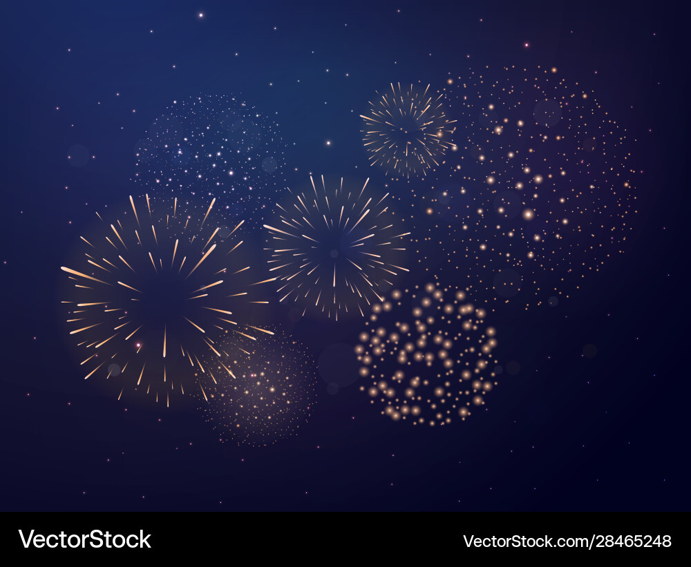Bright colorful fireworks on night background Vector Image