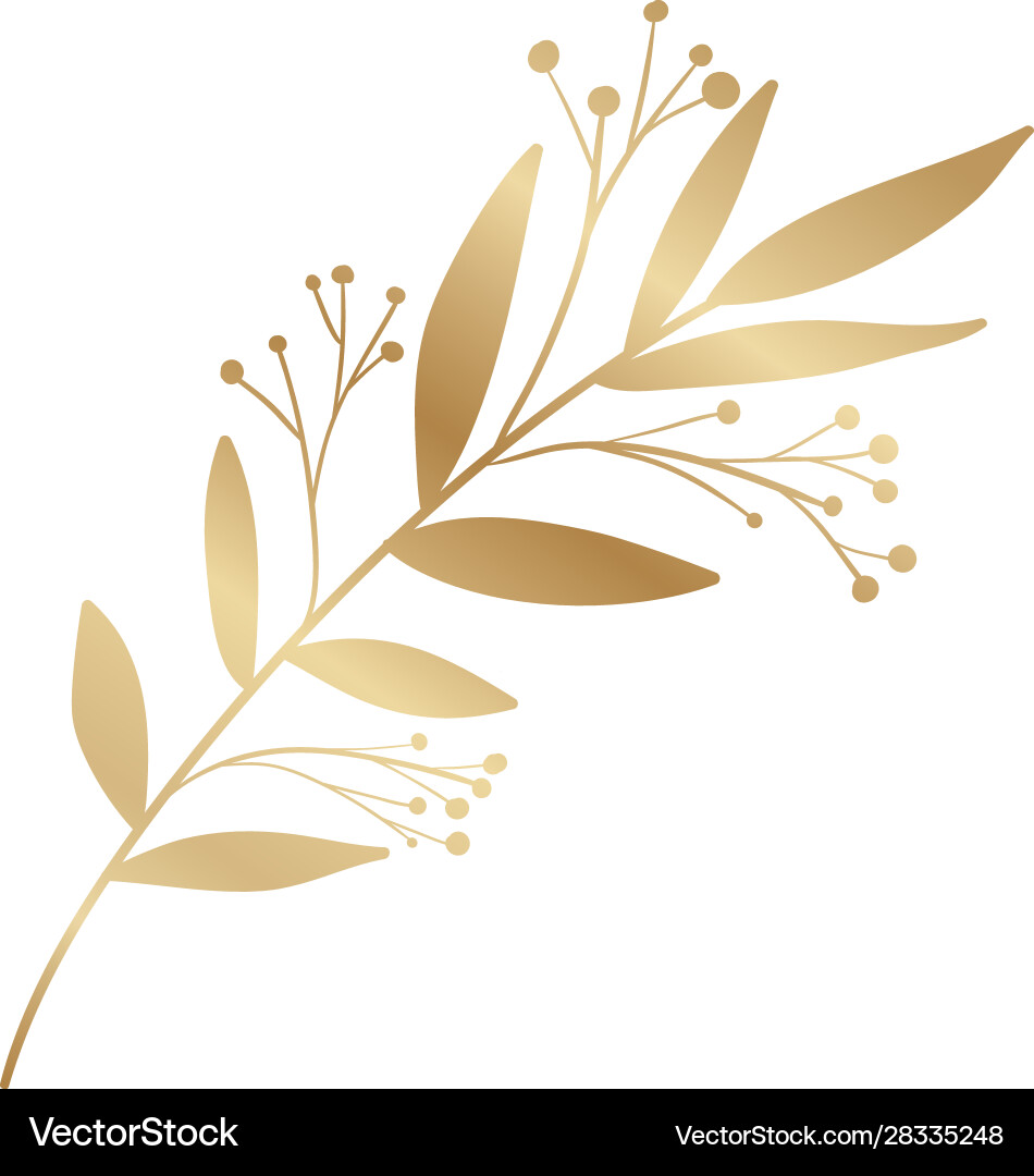 Gold Leaf Plant Ornament Royalty Free Vector Image