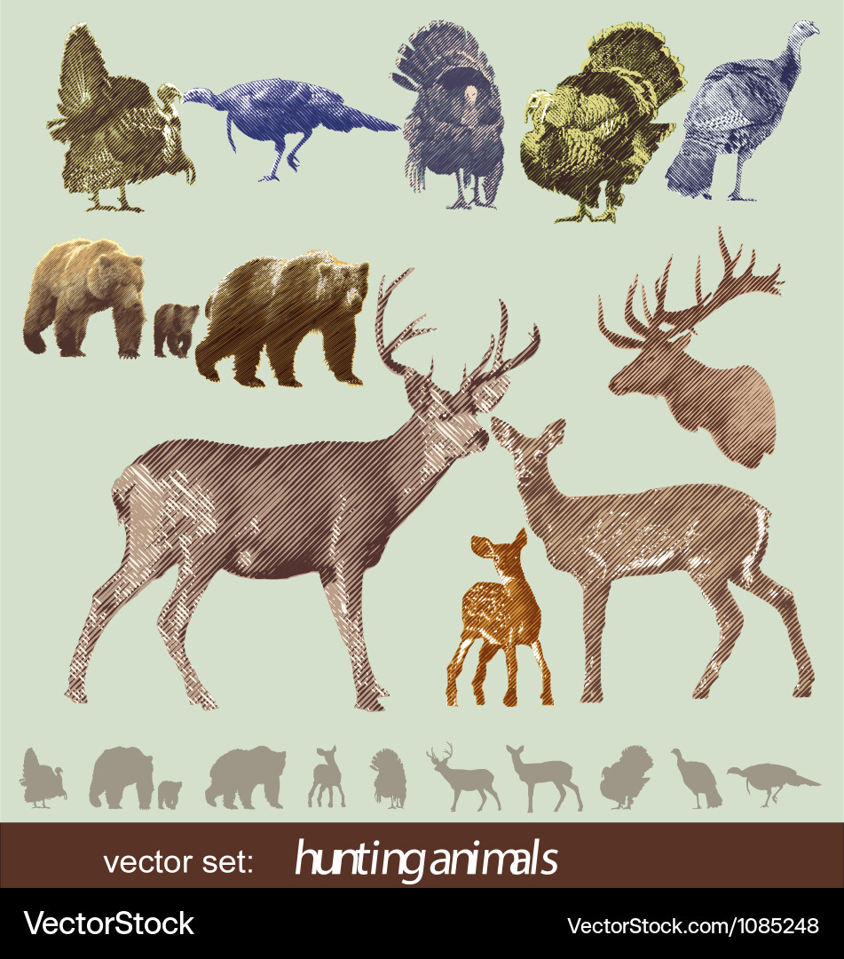 Hunting animals Royalty Free Vector Image - VectorStock